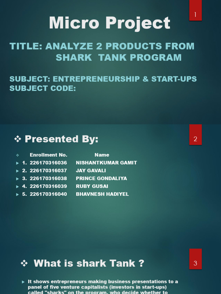 E 0 S Micro Project | PDF | Brand | Entrepreneurship