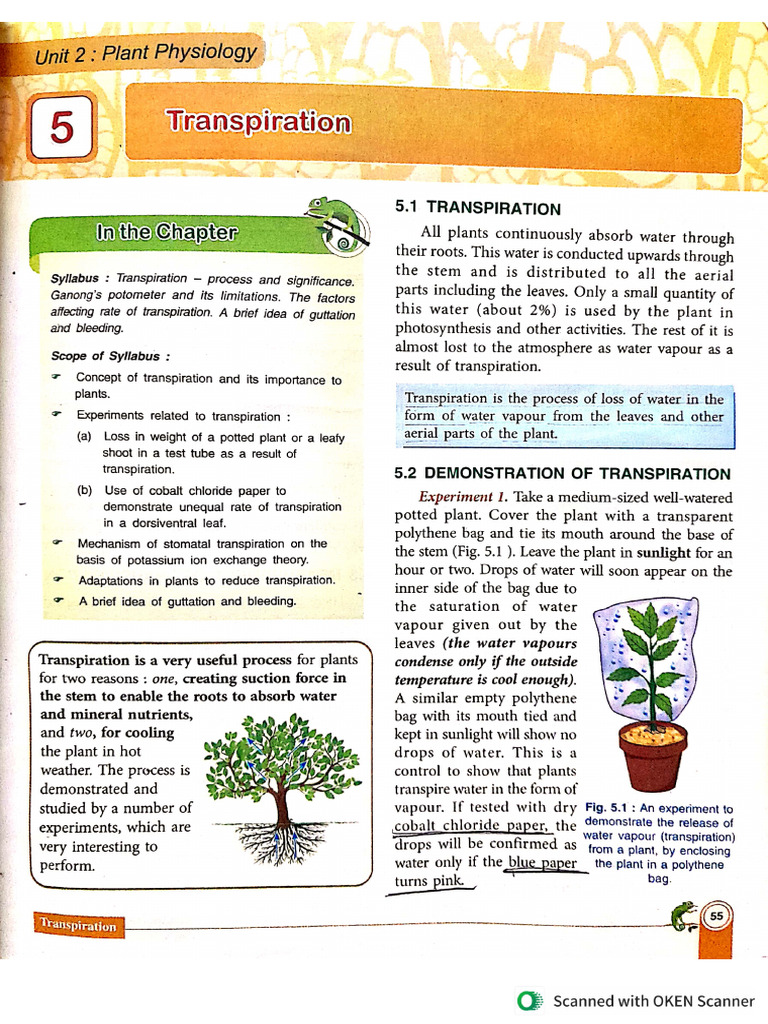 Class 10 Biology Chapter 5 | PDF