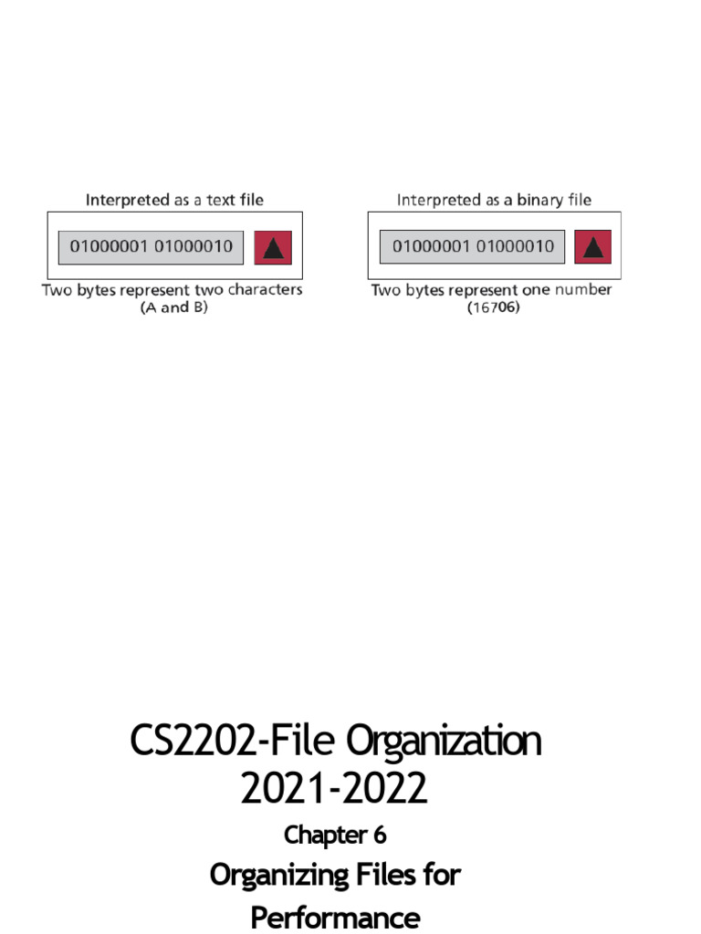 Chapter 6 Organizing Files For Performance Not Complete | PDF | Data Compression | Code