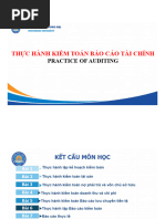 Chương trình kiểm toán mẫu kiểm toán BCTC | PDF