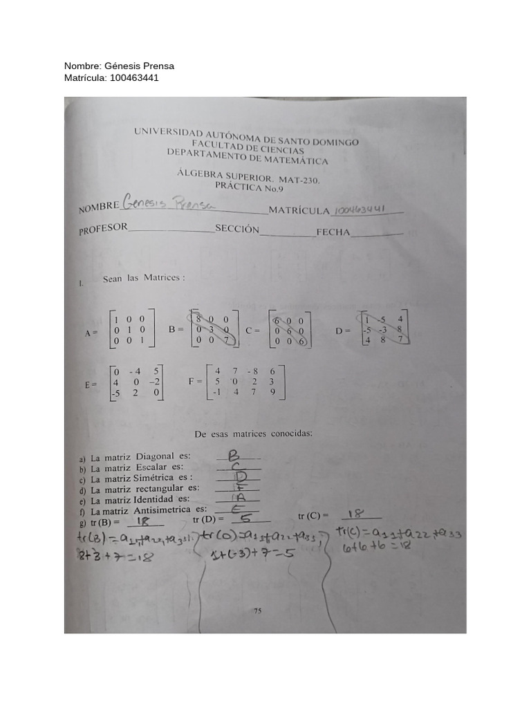 Matrices, Práctica 1 | PDF