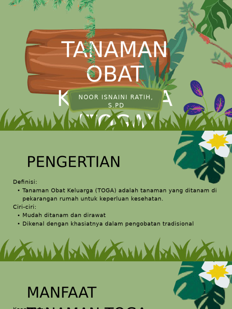 Manfaat dan Budidaya Tanaman TOGA | PDF | Kesehatan Holistik