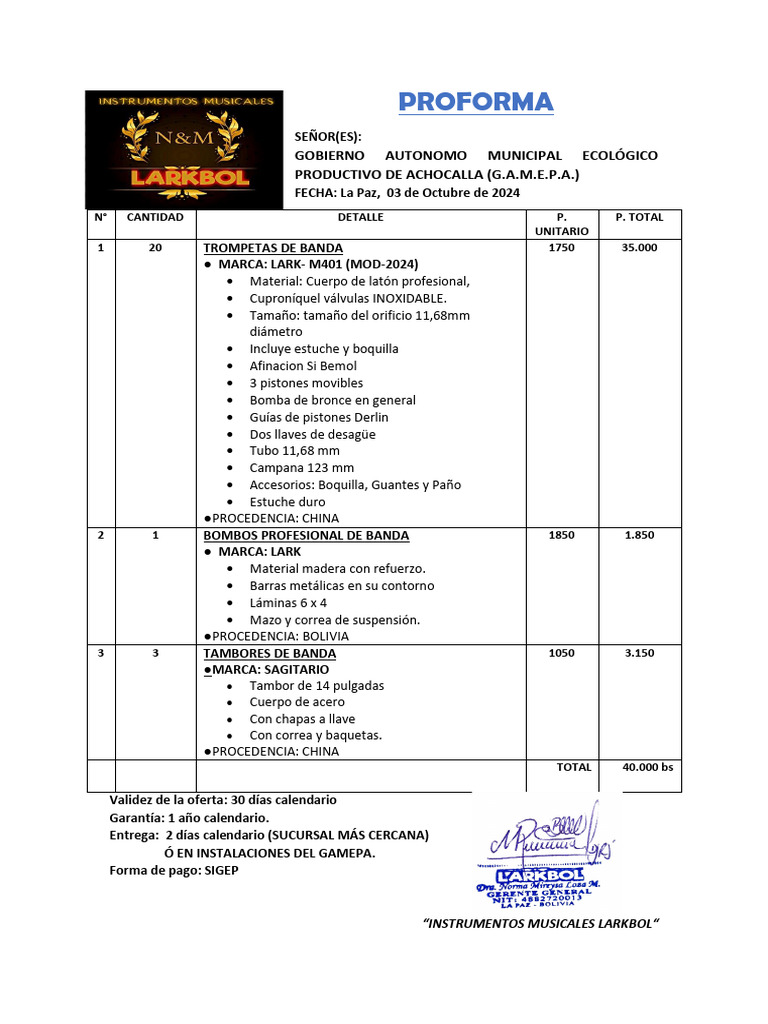 Proforma de Instrumentos Musicales | PDF
