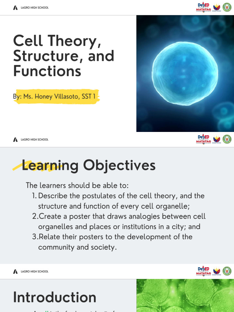 1 Cell Theory Structure and Functions | PDF