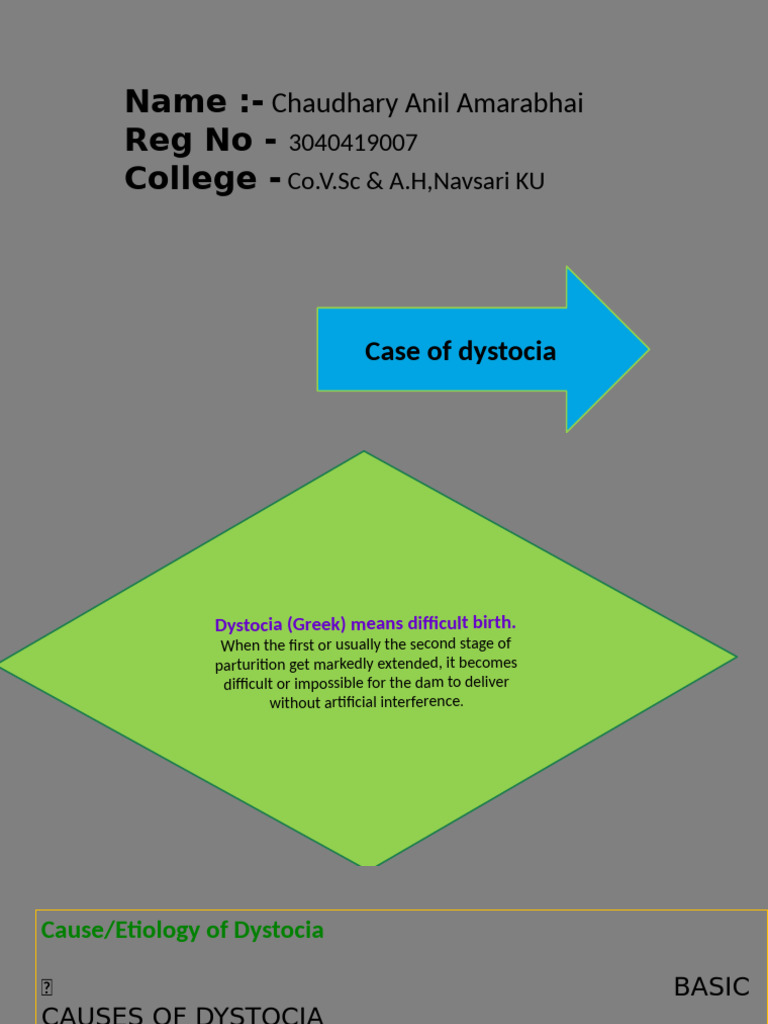 Dystocia Management in Caprine | PDF | Fetus | Anatomical Terms Of Location