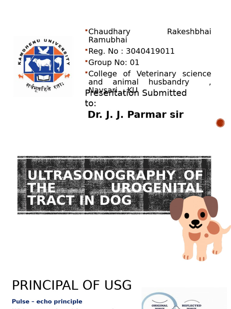 Rakesh R USG Presentation | PDF | Urinary Tract Infection | Medical ...