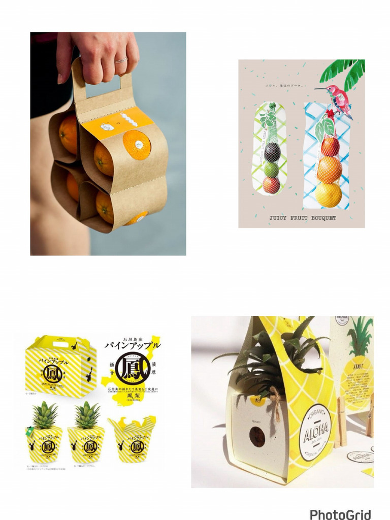Fruit Packaging | PDF