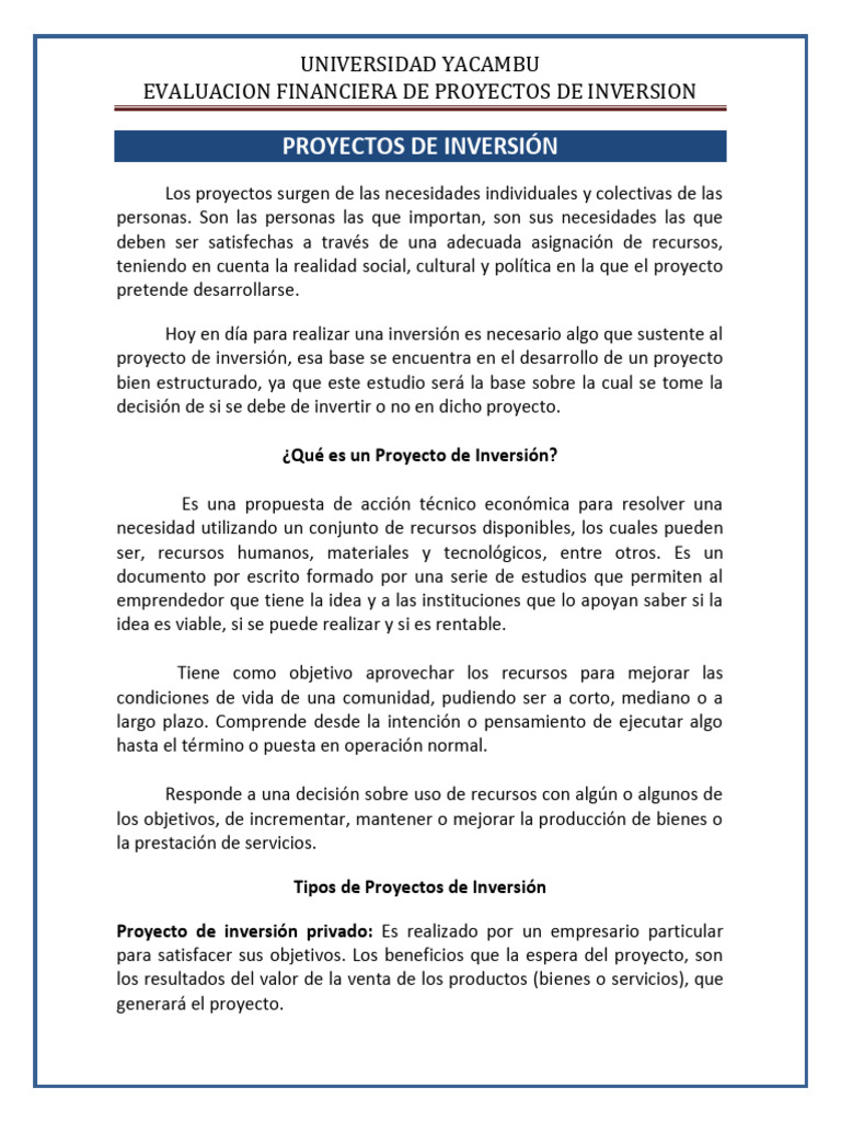 06.01 Proyectos de Inversion | PDF | Inversiones | Bienes