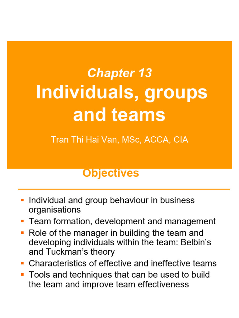 C 13 Individual, Group, Team | PDF | Perception | Attitude (Psychology)