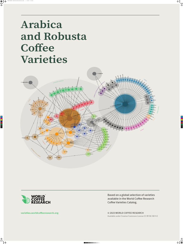 Copia de PRINT READY Coffee Varieties Poster A1 | PDF | Coffee | Drink