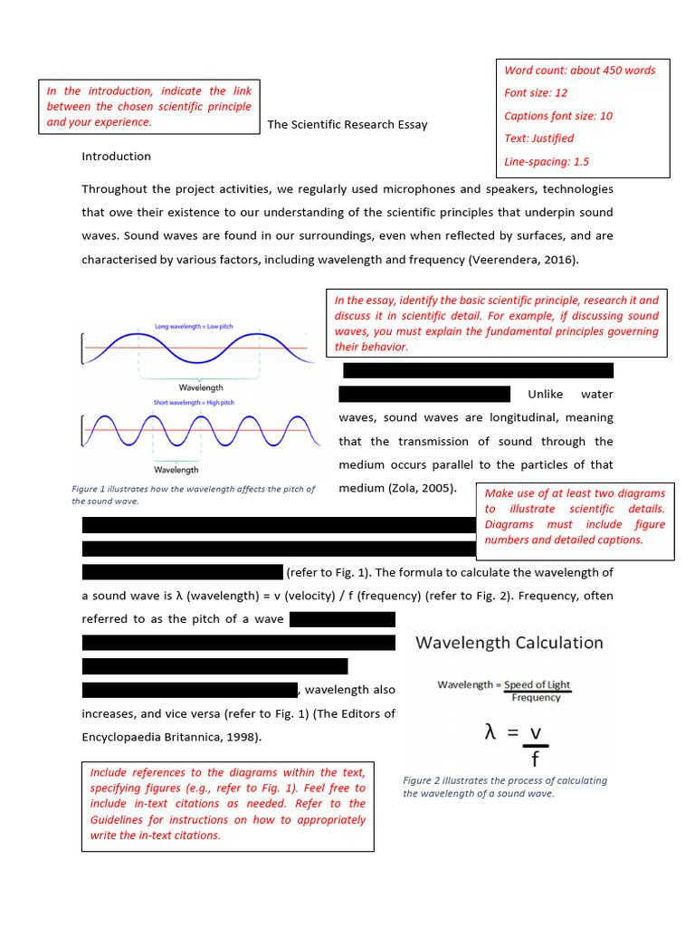 Sample Scientific Research Essay | PDF | Waves | Sound