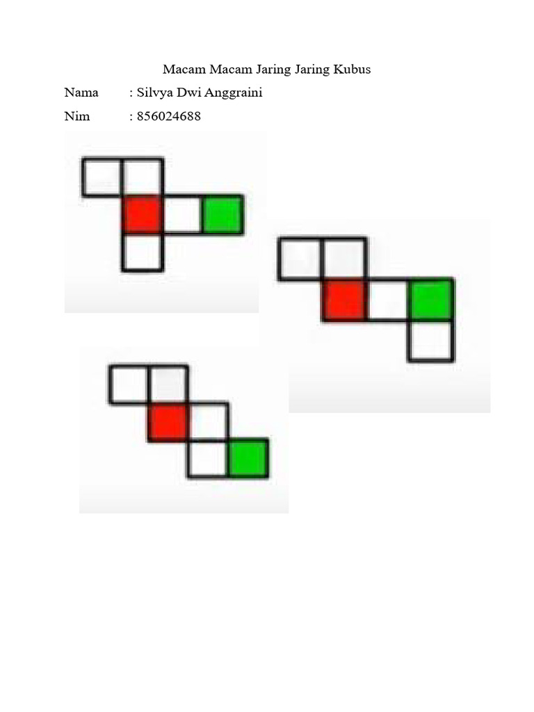 Macam Macam Jaring Jaring Kubus | PDF