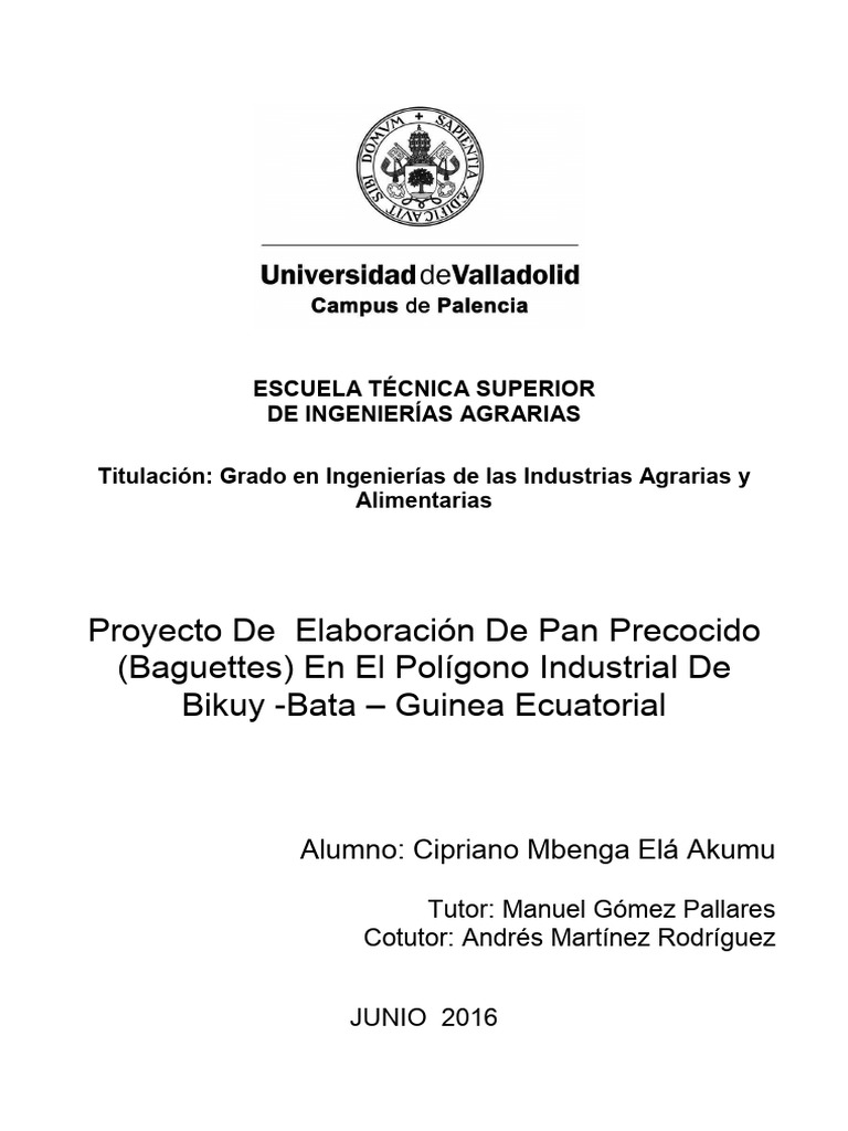 TFG- L 1280 | PDF | Panes | Fundación (Ingeniería)