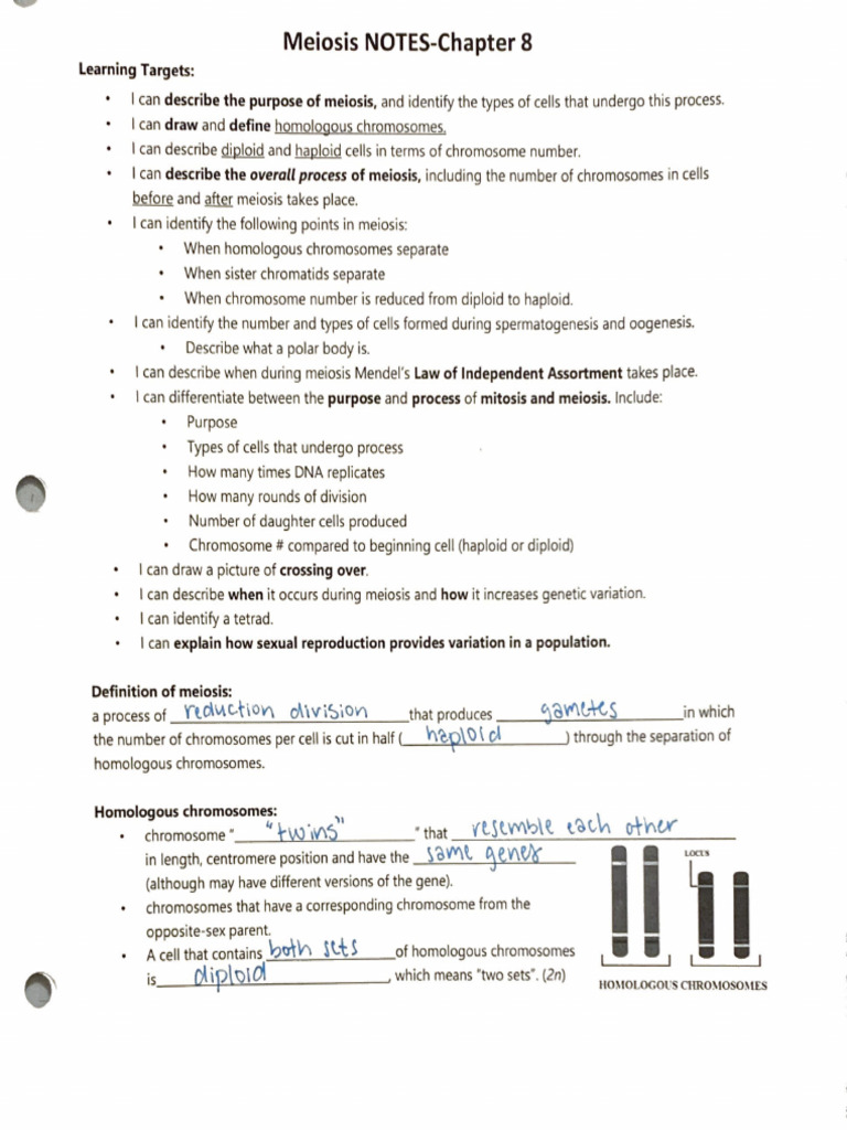 Meiosis NOTES | PDF