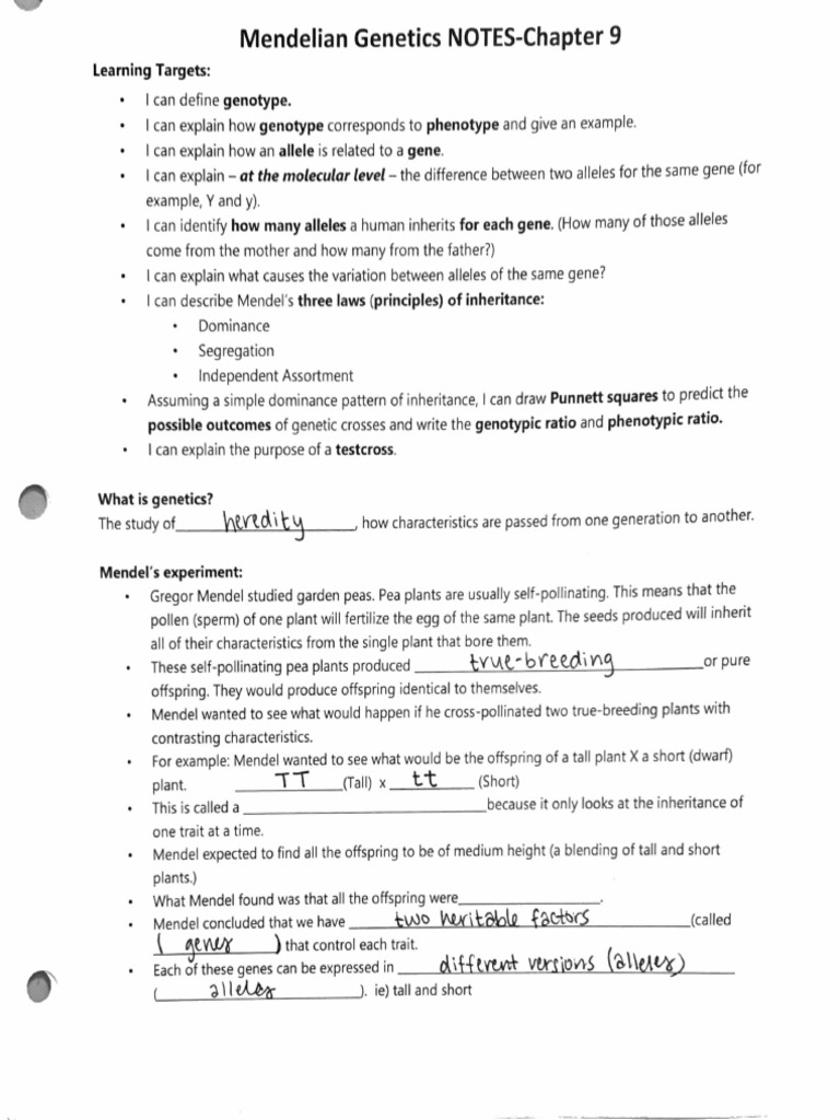 Mendelian Genetics NOTES | PDF