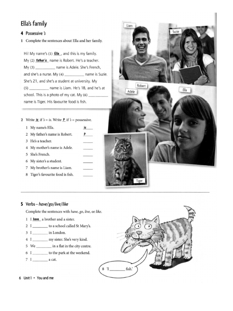 Exercise 3 - Possessive 'S - Verbs | PDF