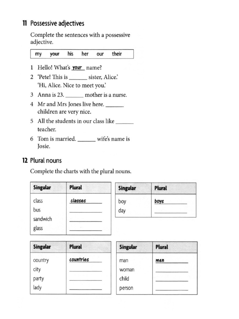 Exercise 5 - Everyday English - Possessive Adjectives | PDF