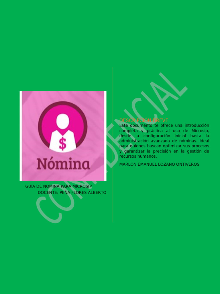 Guia Microsip Nomina 3.0 | PDF | Programa de computadora | Programación