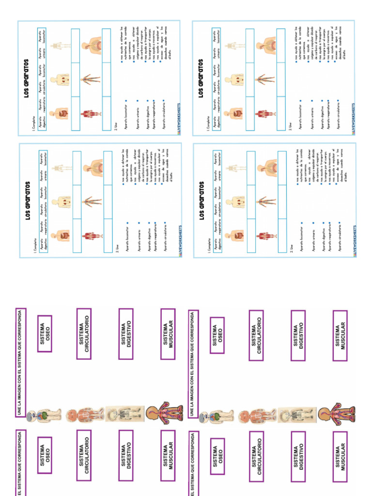 Rogelis Otra Mas | PDF