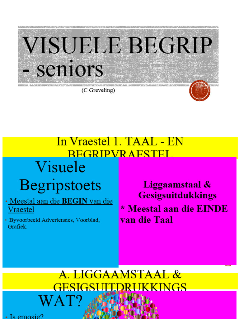 Visuele Begrip - Seniors | PDF