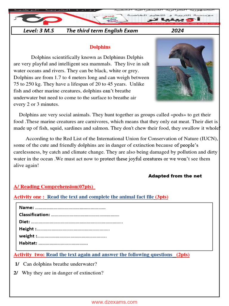 Dzexams 3am Anglais 282949 | PDF | Koala | Dolphin