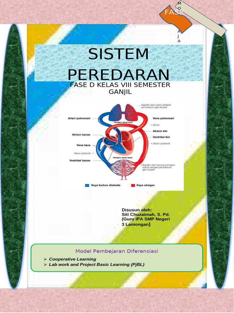 MODUL Sistem Peredaran Darah | PDF | Karier & Perkembangan