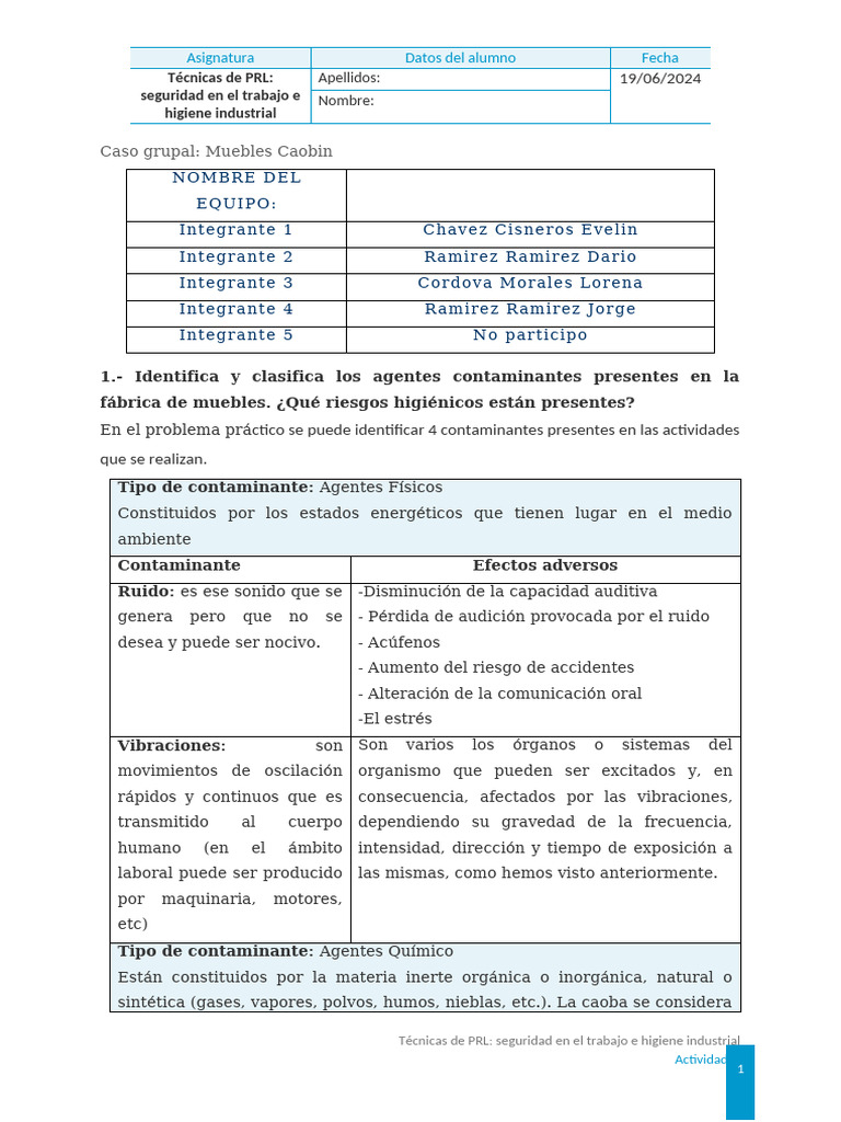 Evaluación de Riesgos en Muebles Caobin | PDF | ruido | Concentración
