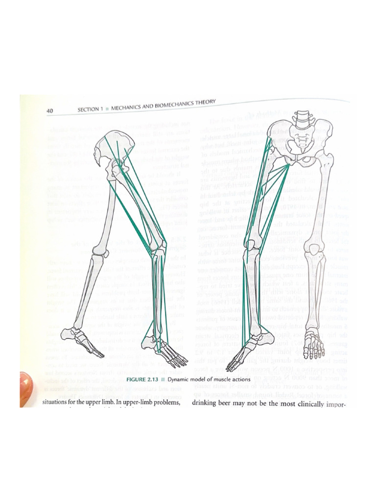 Situations For The Upper Limb. in Upper-Limb Problems | PDF