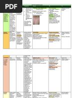 Piedraia Hortae | PDF | Hongo | Infección
