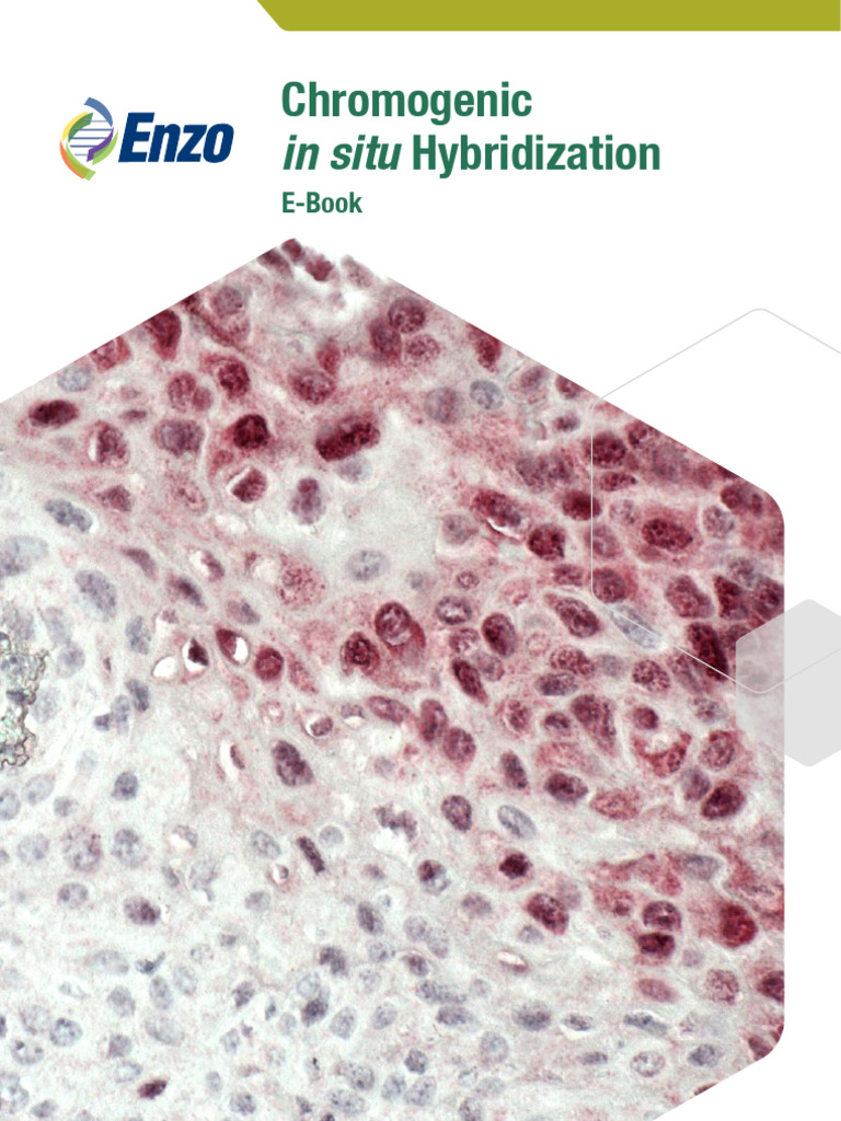 ISH-E-Book | PDF | In Situ Hybridization | Primer (Molecular Biology)