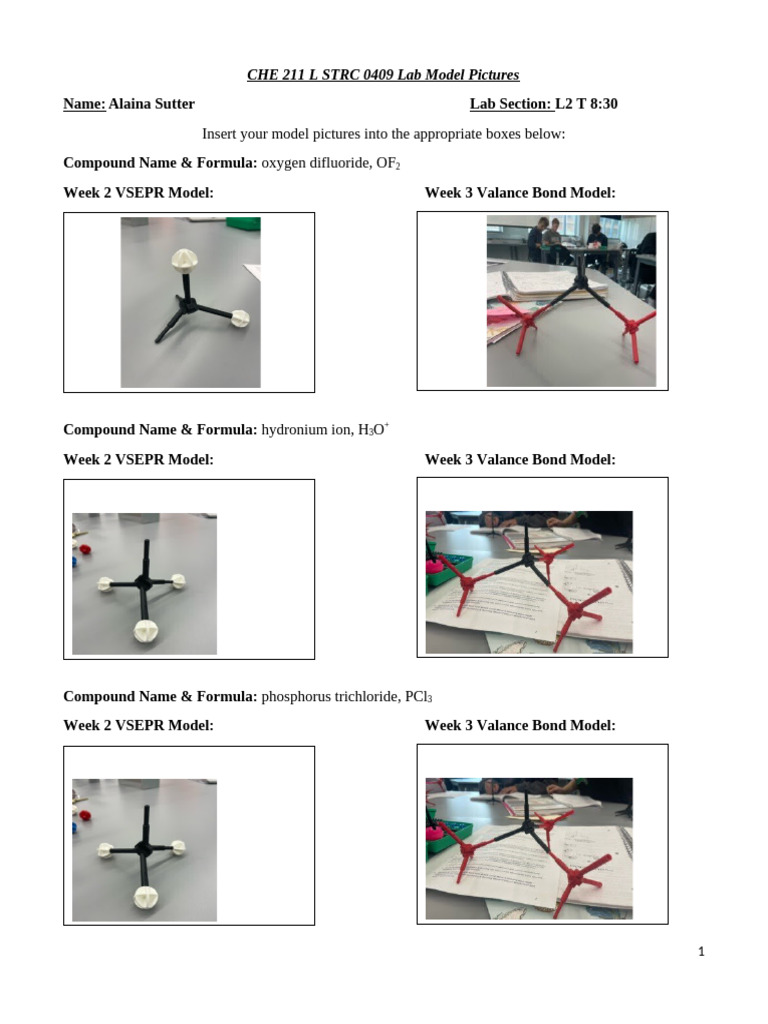 CHE 211 L UC STRUC 0409 Model Pictures Template F22 | PDF | Physical ...