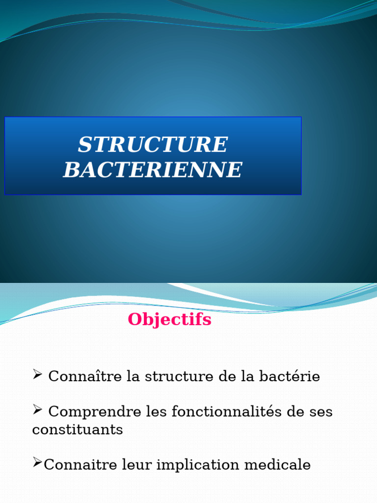 2) Structure Bacterienne - DR Rochdi - 2012-2013 | PDF | Plasmide ...