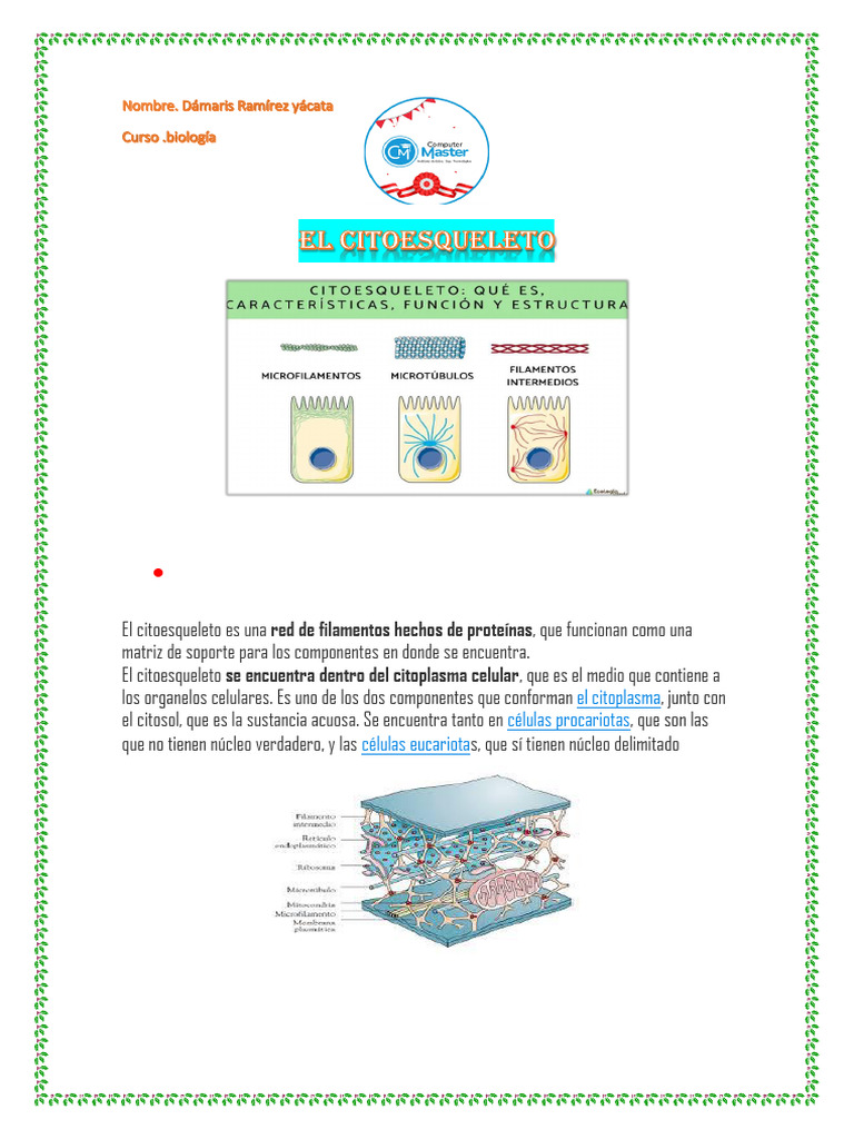 El Citoesqueleto | PDF | Citoesqueleto | Biología Celular)