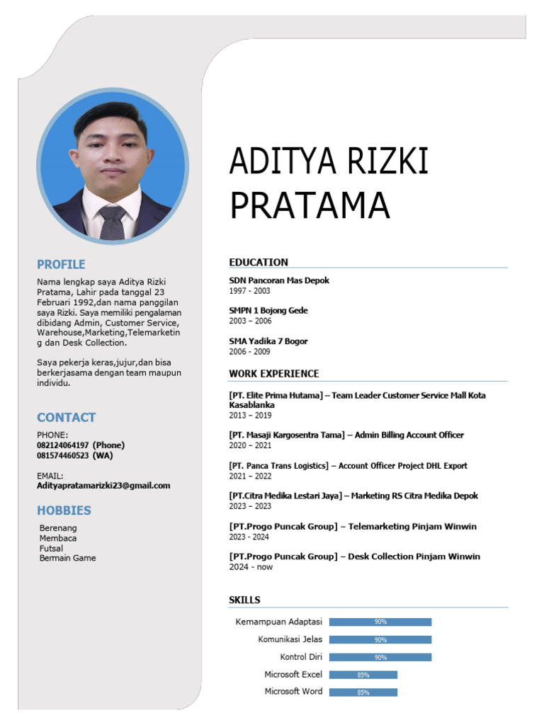 Profil Profesional Aditya Rizki | PDF