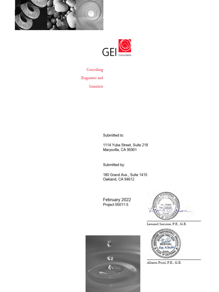 Appendix G - FREL and BRNL - ULDC Due Diligence - GEI - Red | PDF | Flood | Levee
