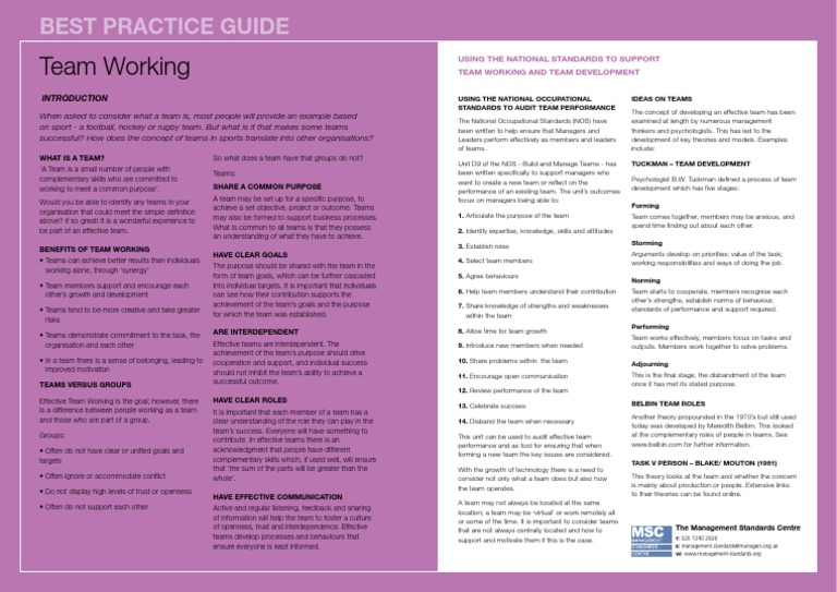 Effective Team Development: Using National Occupational Standards to ...
