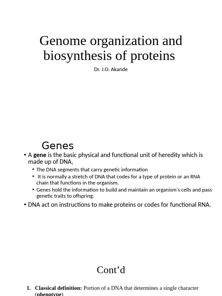 Advanced Genetics & Protein Synthesis | PDF | Gene | Rna