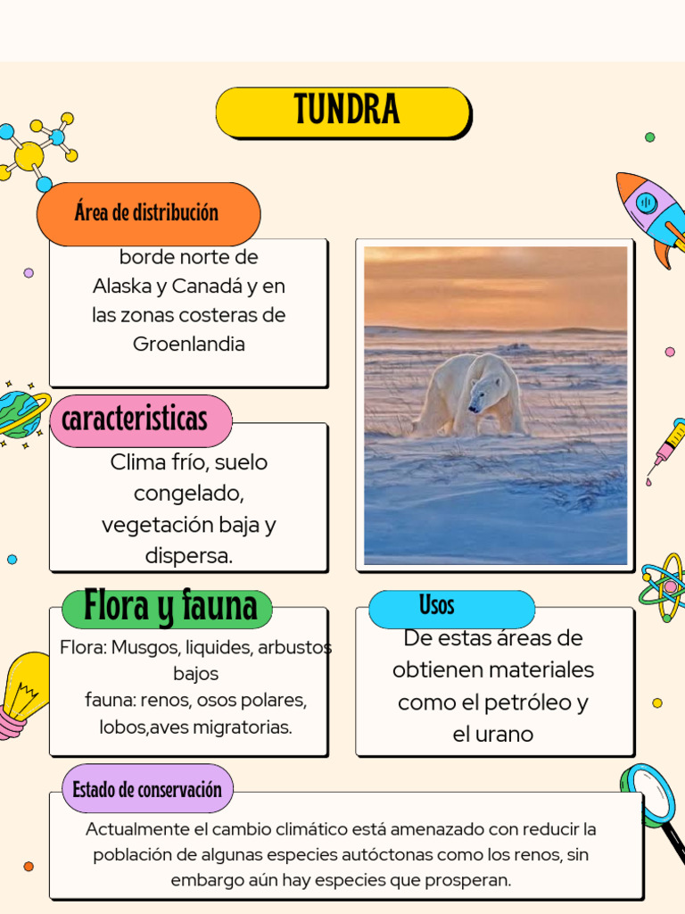 Colorful Illustrated Science Information Poster | PDF | Ecología ...