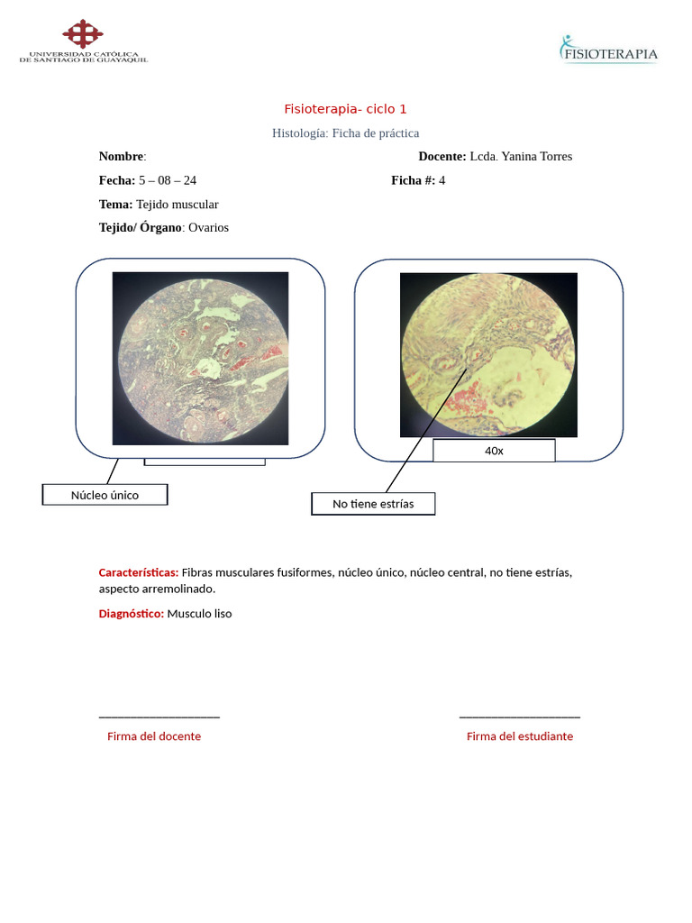 39.-Ficha 4 - Ovario | PDF | Relaciones personales, crianza y desarrollo personal | Salud y ...