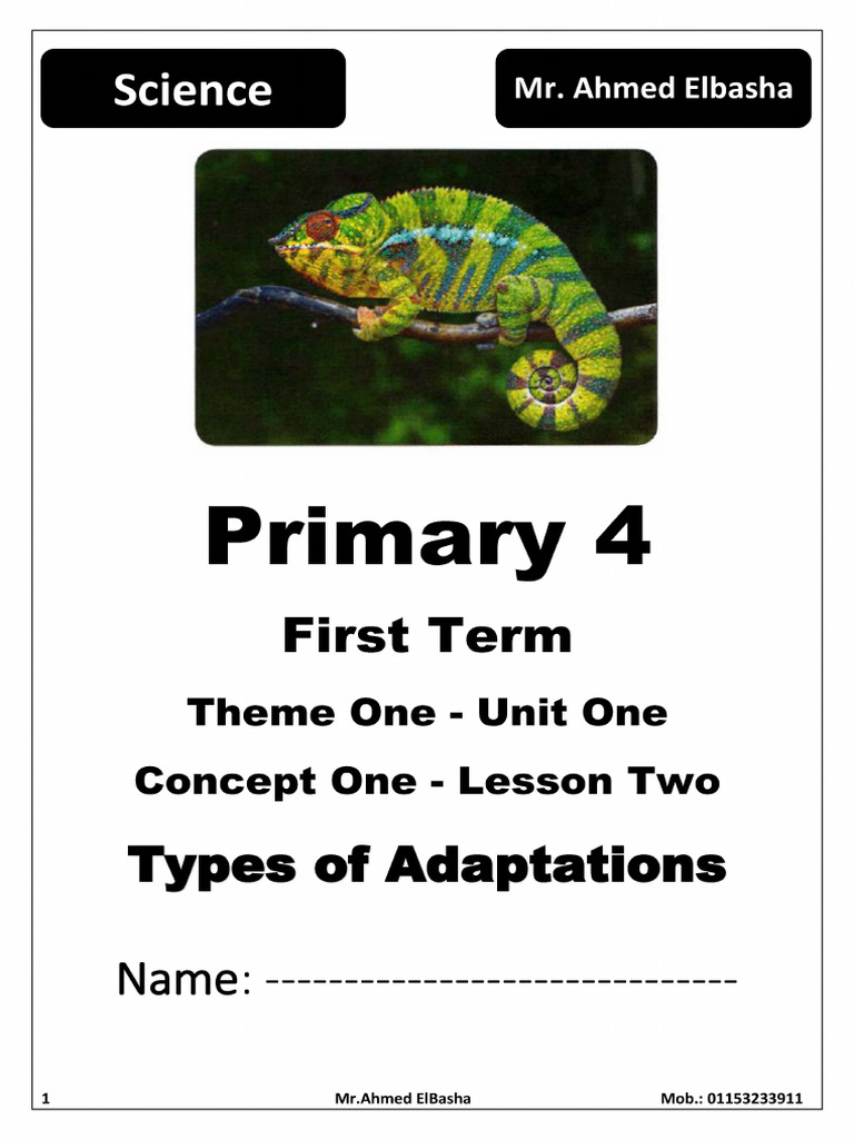 Grade 4 - Theme 1 - Unit 1 - Concept 1 Lesson 2 2024 | PDF