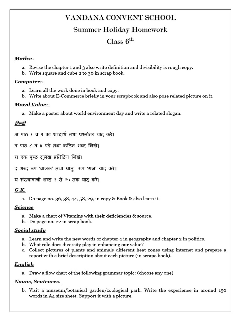 Class 6th Holiday Homework | PDF