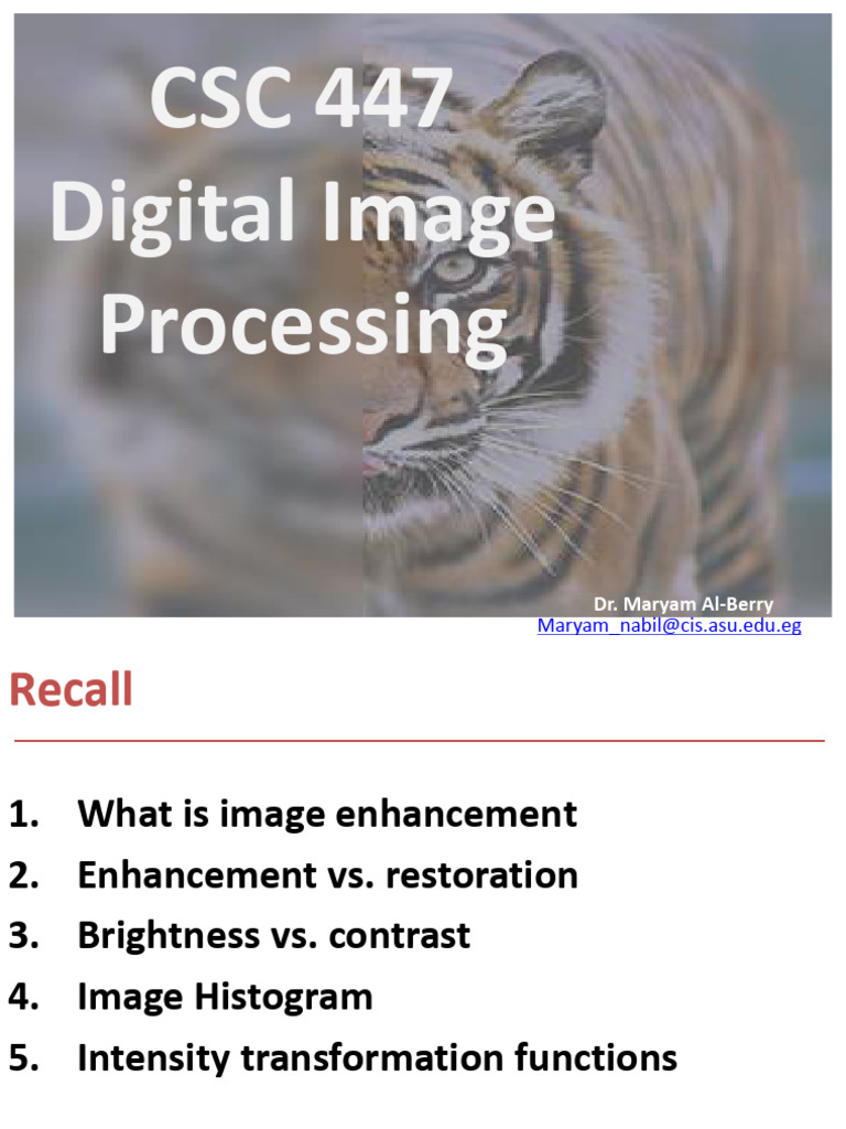 Image Enhancement and Histogram Processing | PDF | Signal Processing | Computer Graphics
