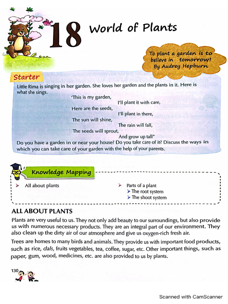 CH 18 World of Plants Textbook and Under | PDF