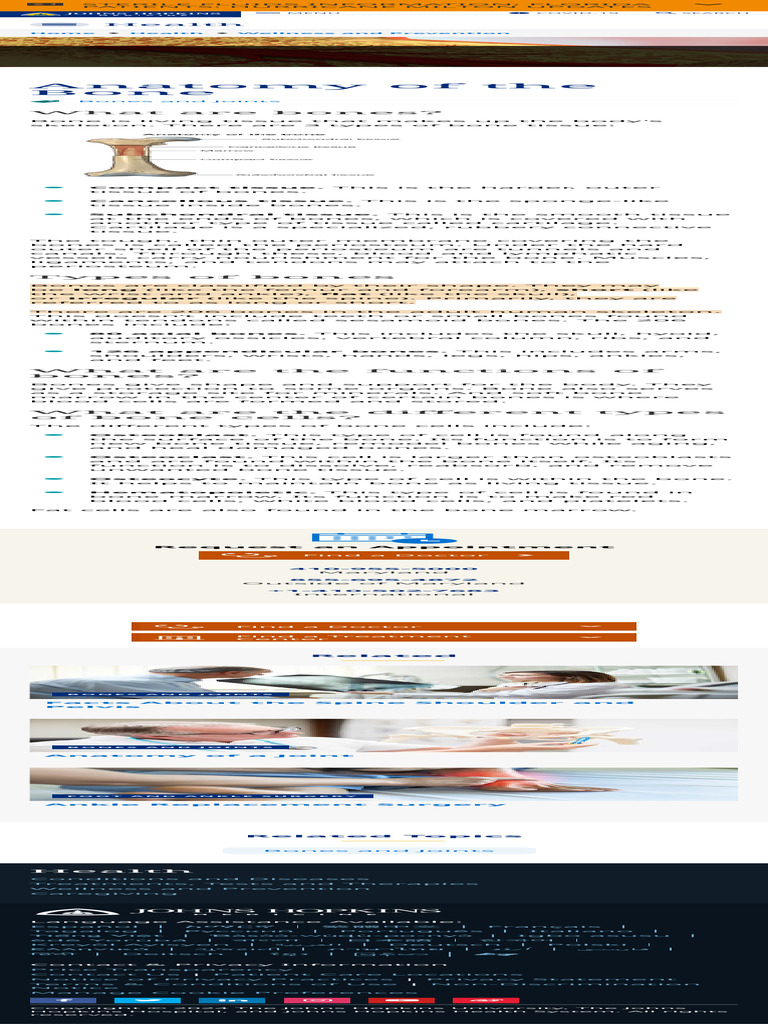 Anatomy of The Bone Johns Hopkins Medicine | PDF | Bone | Skeleton