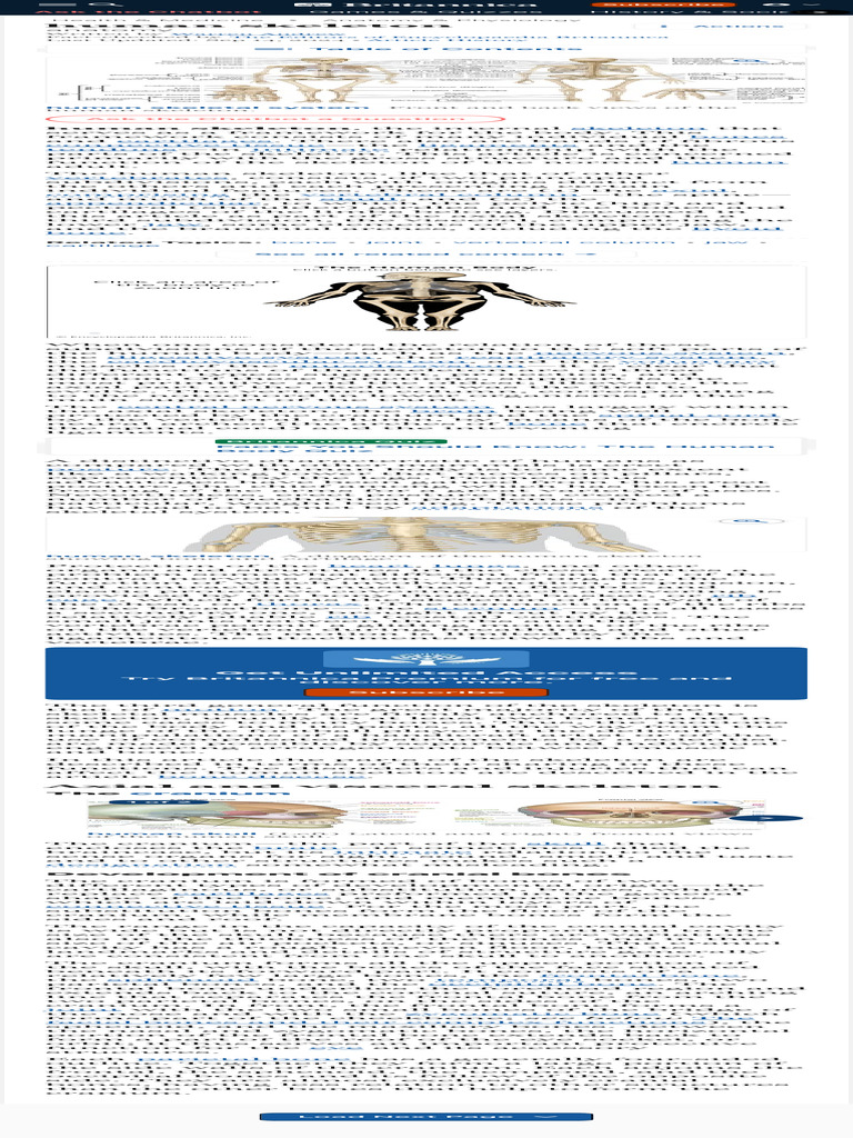 Human Skeleton Parts, Functions, Diagram, & Facts Britannica | PDF ...