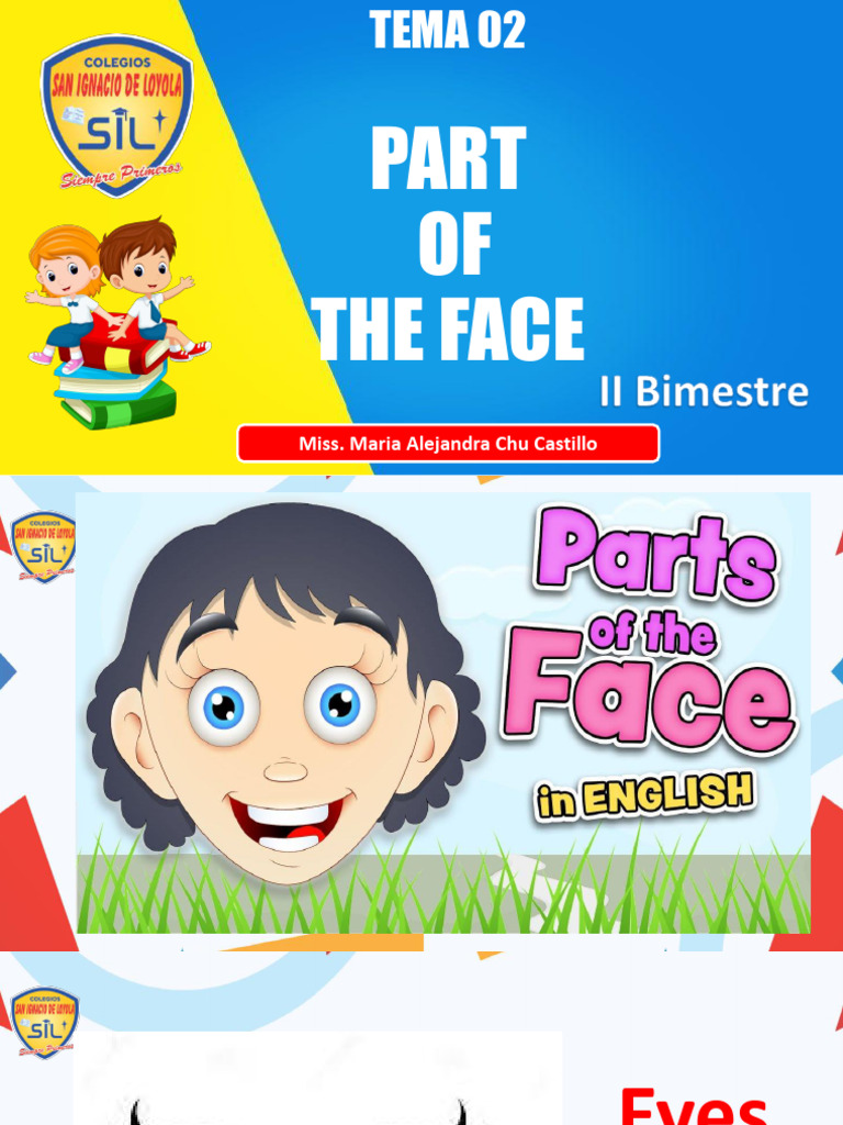 Tema02 Part of the Face | PDF