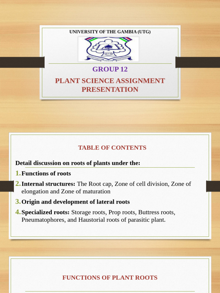 Plant Science Group 6 | PDF | Root | Plants