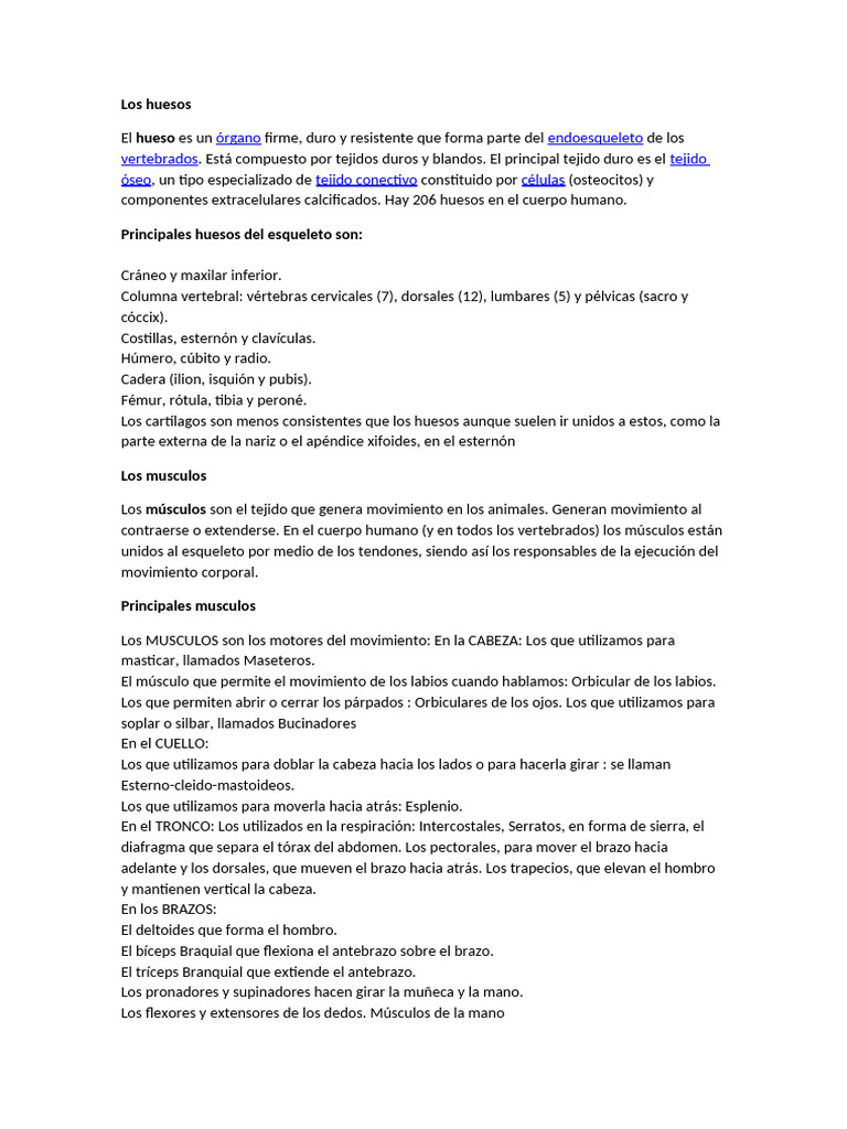 Los Huesos Pdf Esqueleto Hueso