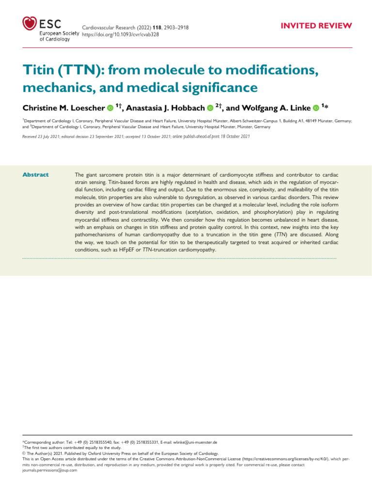 Titin TTN From Molecule To Modifications Mechanics | PDF | Alternative Splicing | Heart