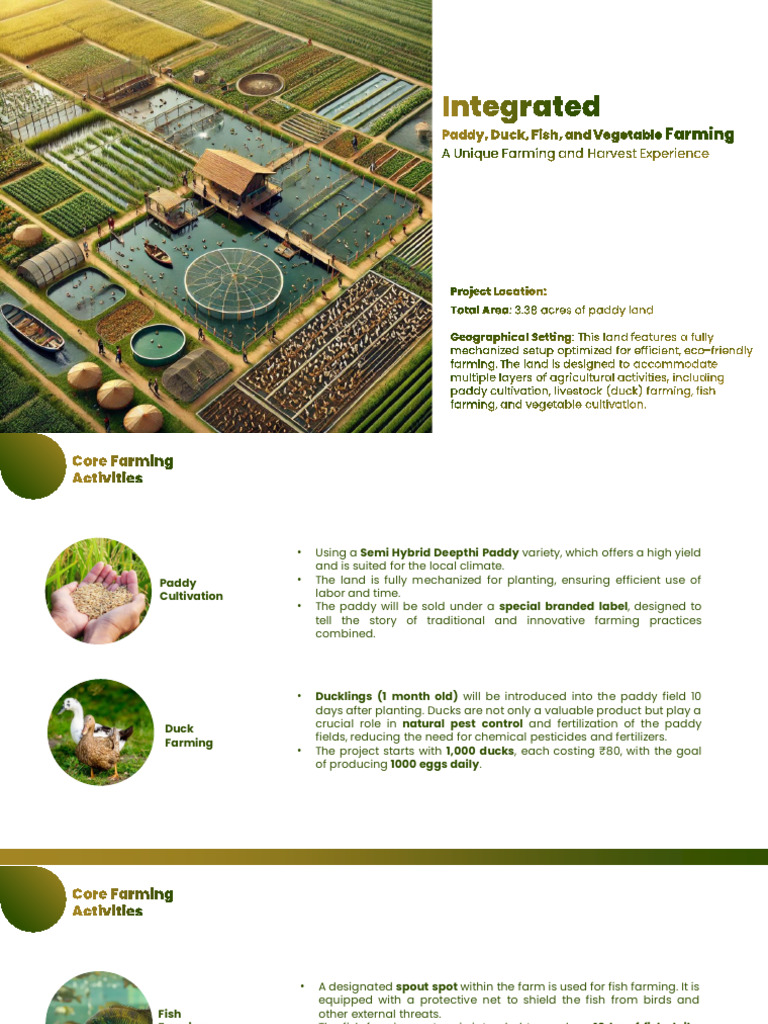 Integrated Paddy Project | PDF | Agriculture | Farms